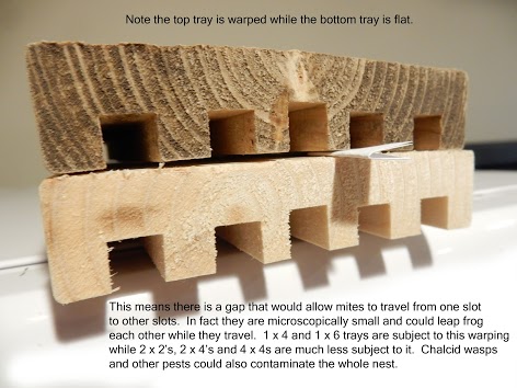 Nesting Trays for the Mason Bee | My Mason Bees